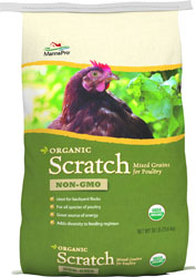 We've Got Rhode Island Red Chickens For Sale