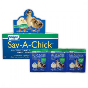 Sav A Chick Electrolytes & Probiotics - Pasturas Los Alazanes