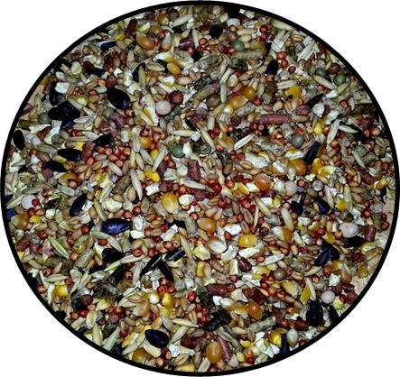 Big V Feeds Gamecock Maintenance Feed :: Pasturas Los Alazanes