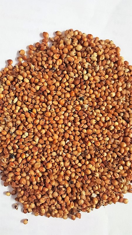 Whole Milo - Pasturas Los Alazanes