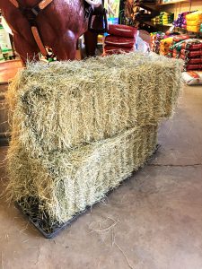 Tifton Hay Now Available At Pasturas Los Alazanes