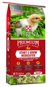 10% Off Start & Grow Chicken Feed